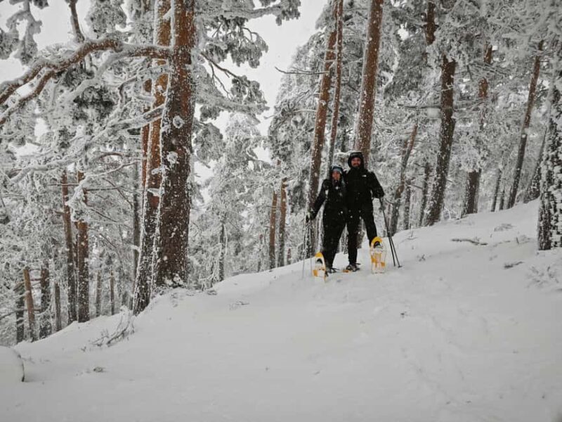 Madrid: Snowshoe Tour - Key Points