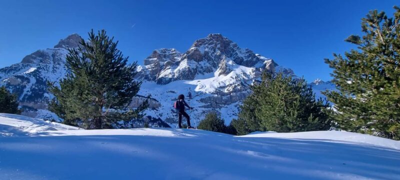 Madrid: Snowshoe Tour - An Authentic Look at Madrid’s Snowshoe Experience