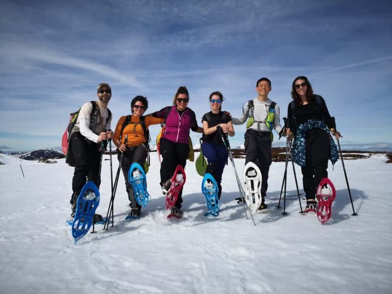 Madrid: Snowshoe Tour - Practical Tips for Your Snowshoe Adventure