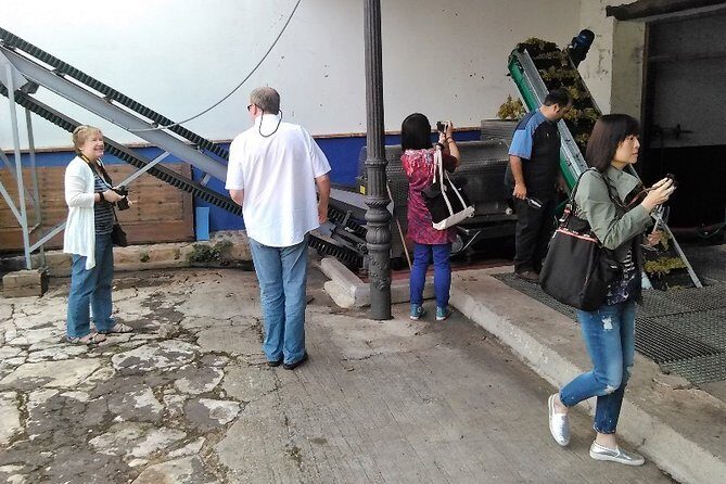 Madrid Wineries Private Tour with Hotel Pickup and Lunch - An In-Depth Look at the Tour: What to Expect