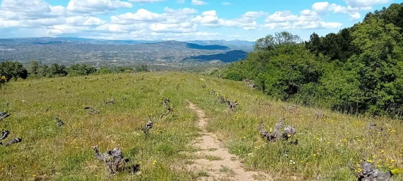 Madrid Winery Tour: Visit & Tasting With Sommelier Guide - The Value of the Tour