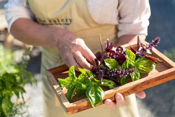Maggie Beer's Farm Cooking School and Seasonal Lunch - An In-Depth Look at the Experience