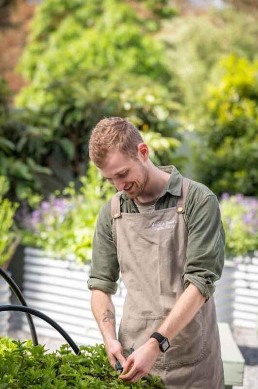 Maggie Beer's Farm Hands-on Cooking School and Lunch - Final Thoughts