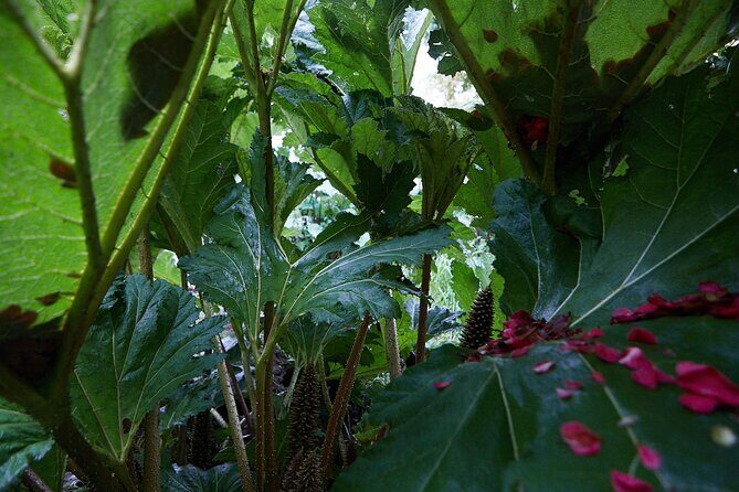 Magical and Exclusive Private Visit to the Fonte Baxa Garden, Luarca - FAQs