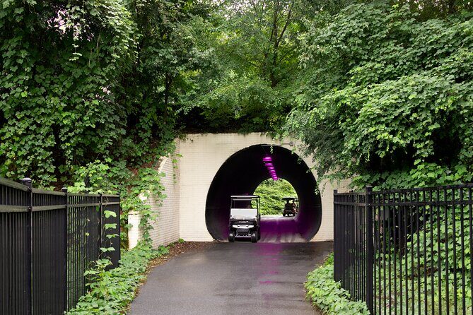 Magical Golf Cart Tour Through Peachtree City Trails - An Authentic Look at Peachtree City on a Golf Cart