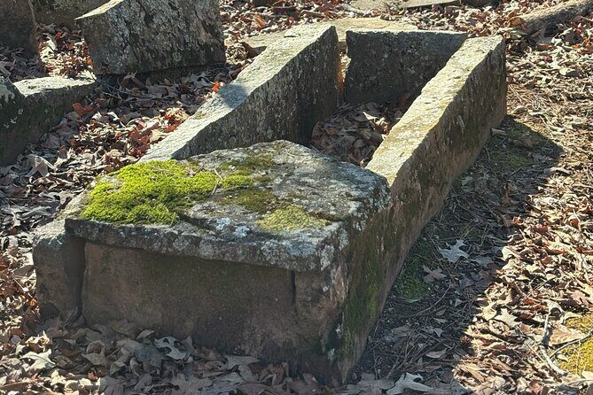 Magical Golf Cart Tour Through Peachtree City Trails - Analyzing the Value