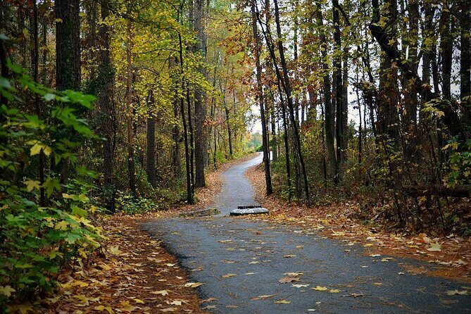 Magical Golf Cart Tour Through Peachtree City Trails - The Sum Up