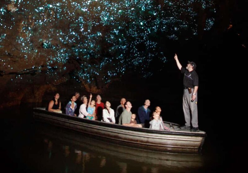 Magical Hobbiton & Waitomo Caves Small Group from Auckland - Who Will Love This Tour?
