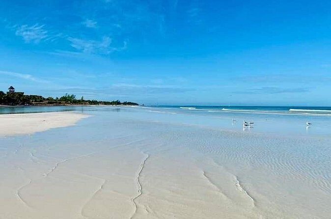 Magical Holbox Punta Mosquito Tour from Cancun - Yalahau Lagoon: Refreshing Waters