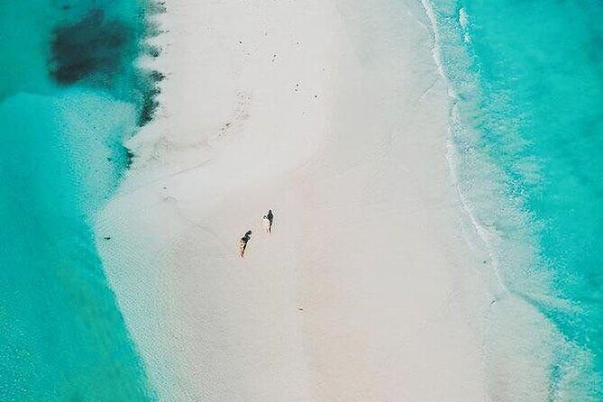 Magical Holbox Punta Mosquito Tour from Cancun - The Experience: What Travelers Say