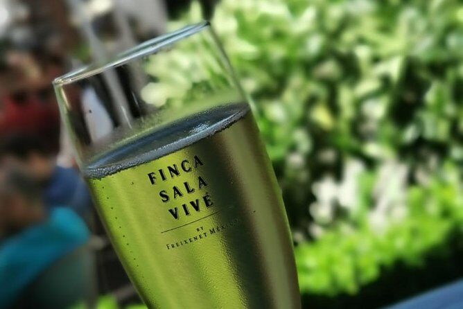 Magical Nature - Key Points