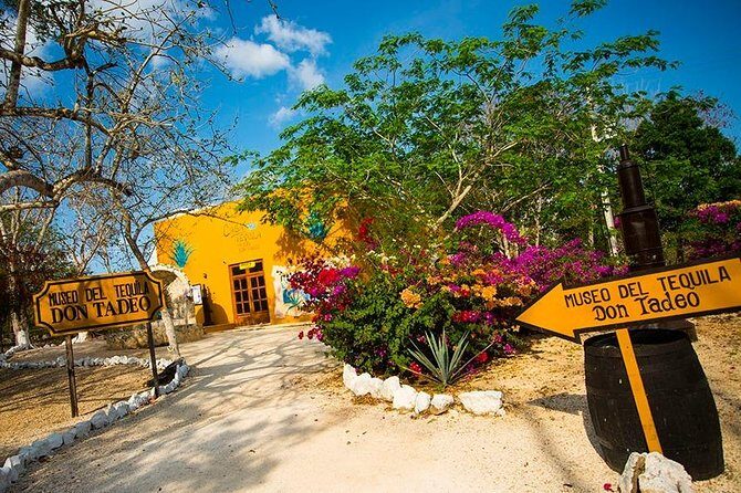 Magical nights of Kukulkan. Chichen Itza, Valladolid and a sacred cenote tour. - FAQ