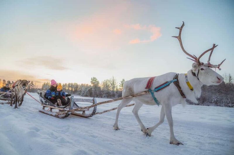 Magical Private Santa Visit, Reindeer Ride & Elf Workshops - The Practical Side: Logistics and Value