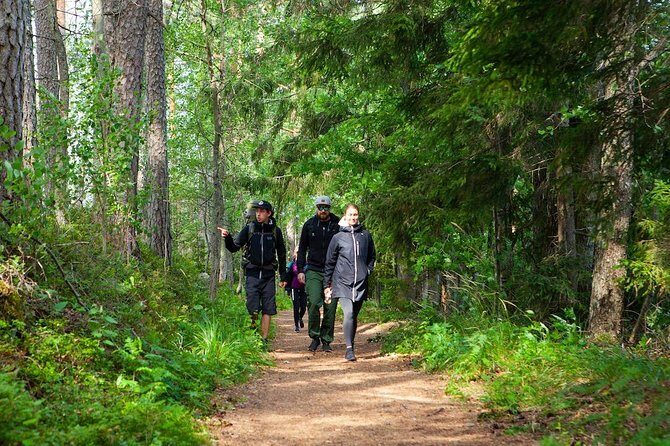 Magical Taiga Forest Hike with Lunch and Transportation - What Travelers Say: Authentic Experiences and Practical Insights