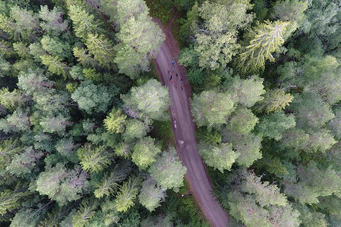 Magical Taiga Forest Hike with Lunch and Transportation - Analyzing the Value and Cost