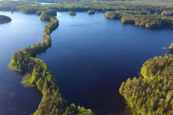 Magical Taiga Forest Hike with Lunch and Transportation - The Sum Up: Who Is This Tour Best For?