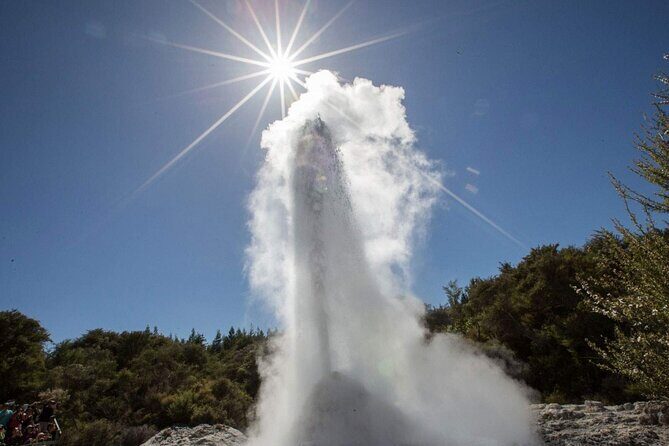 Magical Wanderer Experience Private Tour to Te Puia & Wai-O-Tapu - Why This Tour Is a Great Choice