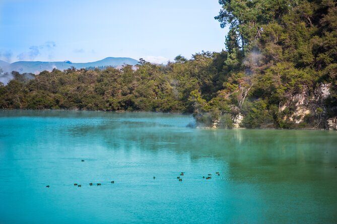 Magical Wanderer Experience Private Tour to Te Puia & Wai-O-Tapu - Final Thoughts