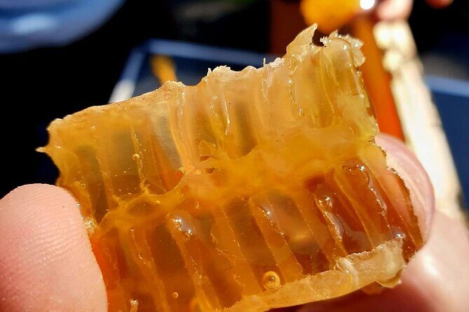 Magical World of Beekeeping on São Miguel Azores Private Tour - Key Points  