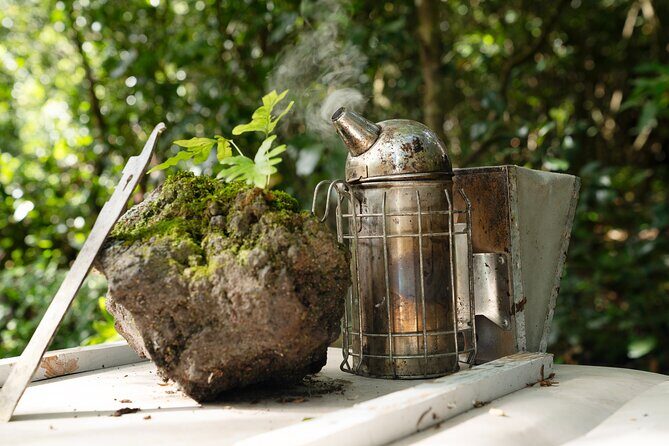 Magical World of Beekeeping on São Miguel Azores Private Tour - The Itinerary and What You Can Expect  