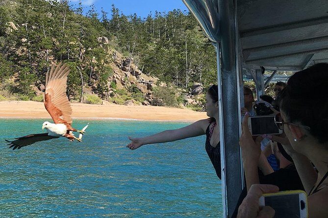 Magnetic Island Discovery Tour with Snorkeling & Paddle Boarding - Who Would Love This Tour?