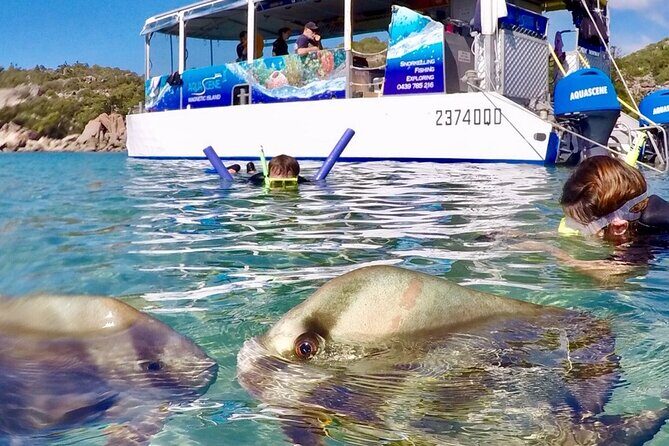 Magnetic Island Discovery Tour with Snorkeling & Paddle Boarding - Final Verdict