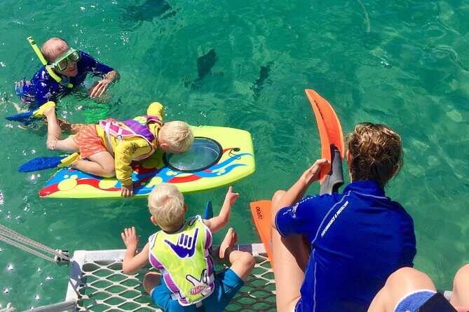 Magnetic Island Discovery Tour with Snorkeling & Paddle Boarding - Frequently Asked Questions