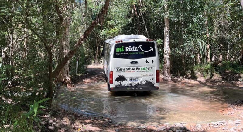 Magnetic Island: West Coast Eco Adventure Bus Tour - Practical Aspects & Tips