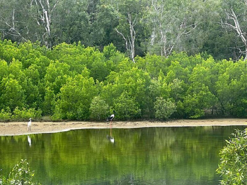 Magnetic Island: West Coast Eco Adventure Bus Tour - Final Thoughts