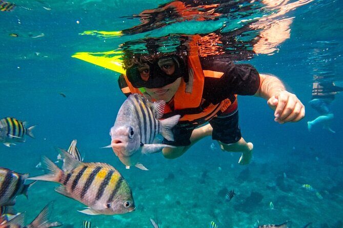 Magnificent Exploration to El Cielo Palancar and Columbia Reefs - The Sum Up