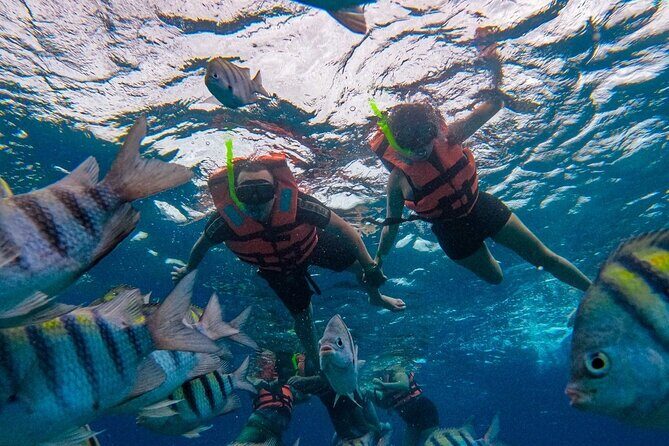 Magnificent Exploration to El Cielo Palancar and Columbia Reefs - FAQ