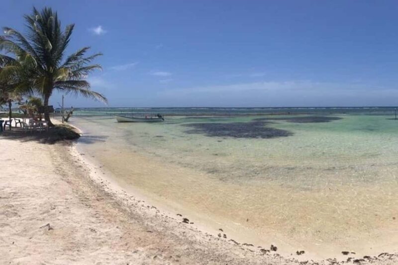 Mahahual: All-Inclusive Costa Maya Beach Break with Open Bar - Introduction