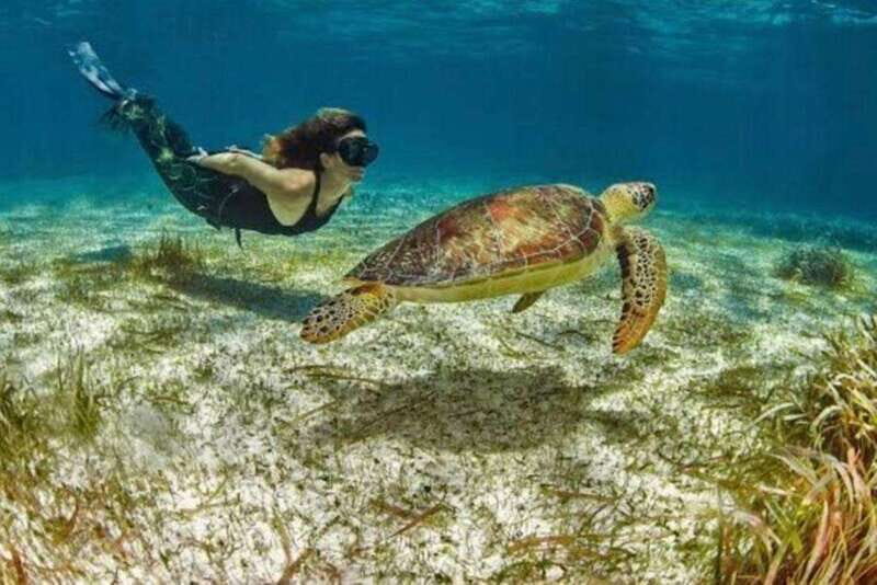 Mahahual: Costa Maya Snorkeling Adventure by Boat - Discovering the Costa Maya Reef Area