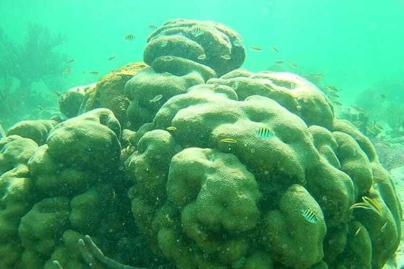 Mahahual: Costa Maya Snorkeling Adventure by Boat - The Boat and Equipment