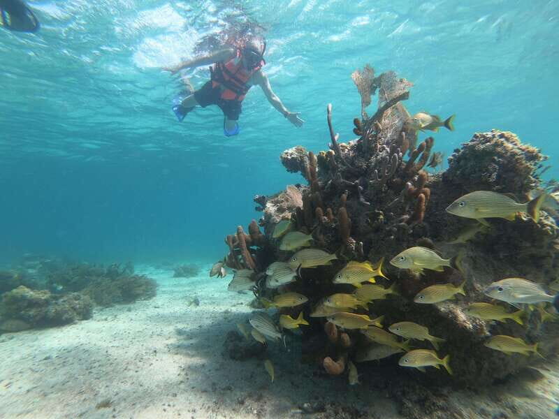 Mahahual: Snorkel Tour in Reef Lagoon - Final Thoughts: Is It Worth It?