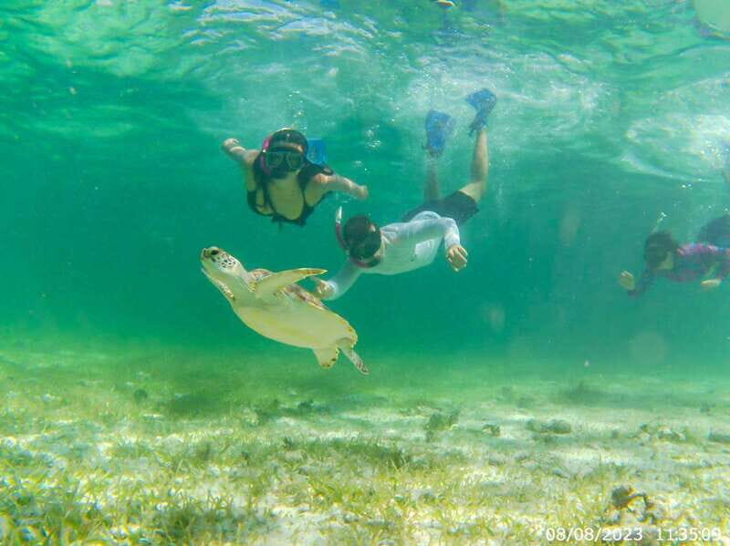 Mahahual: Snorkeling Boat Tour - Who Is This Tour Best For?