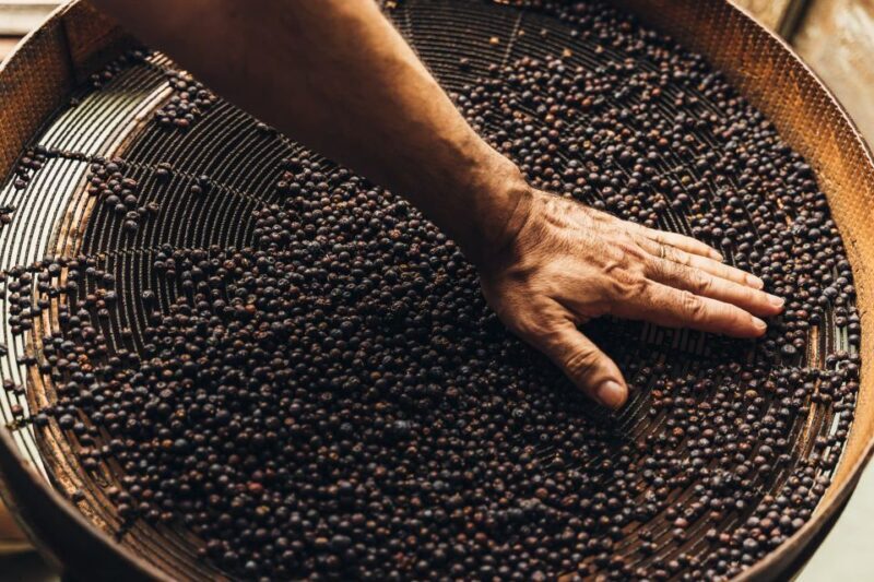 Mahón: Gin Distillery Tour with Tasting & Appetizers - FAQ