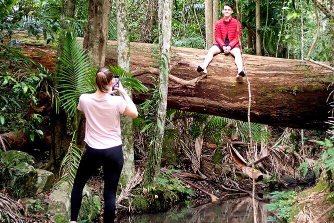 Maiala Rainforest Tour - The Sum Up