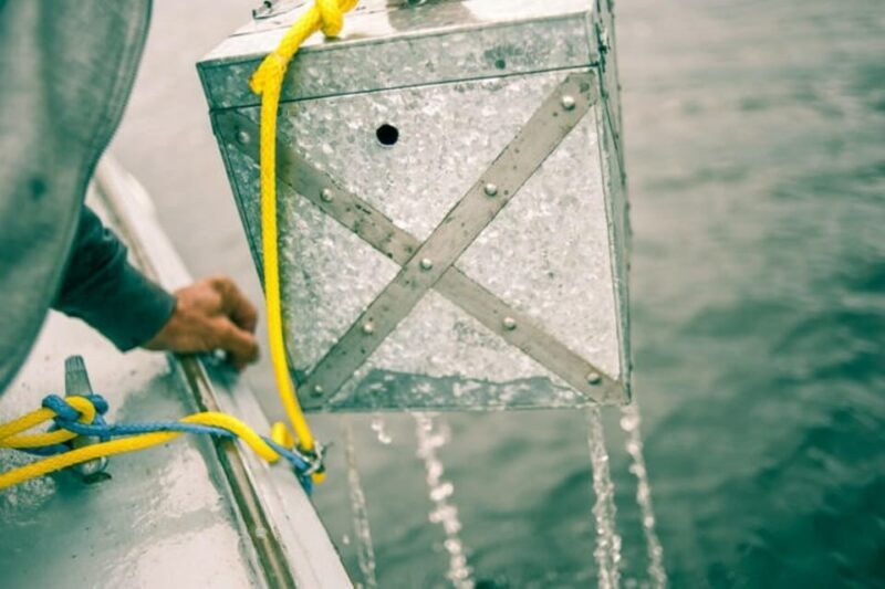 Maine: Belfast Family Treasure Hunt - Engaging Meta Description:  