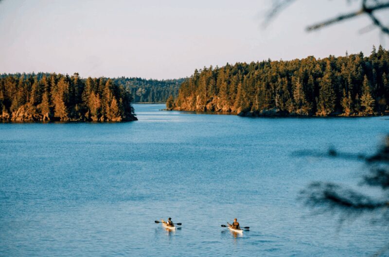 Maine: Half-Day Single Kayak Rental - Why Choose This Kayak Rental in Maine?
