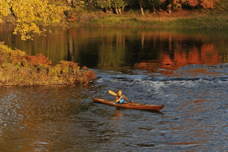 Maine: Half-Day Single Kayak Rental - Who Would Love This Experience?