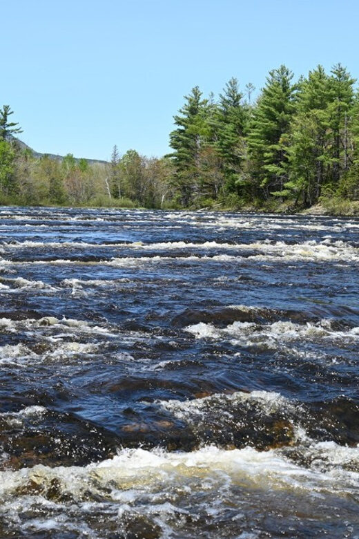 Maine: Penobscot Downriver Boat Rides - A Complete Look at the Penobscot Downriver Boat Ride