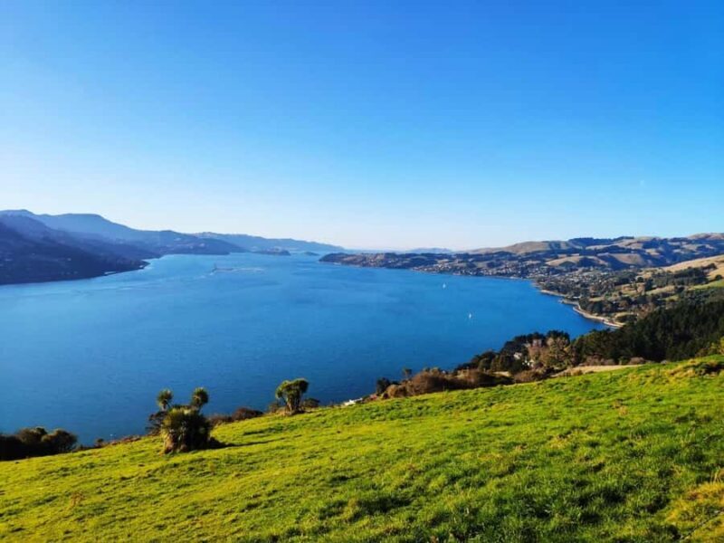 Mainland & Otago Peninsula Tour - Exploring the Mainland & Otago Peninsula Tour: An Authentic Slice of South Island Adventure