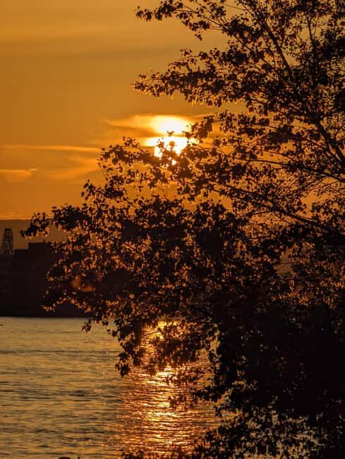 Mainz: guided evening tour of the Rhine riverbank/old town in German and English - Exploring Mainz in the Evening: An In-Depth Look