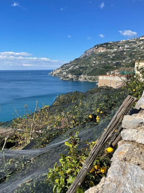 Maiori: Amalfi Coast Path of Lemons Day Trip with Tastings - What to Expect and Practicalities