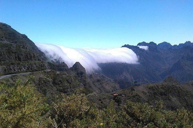 Majestic West Tour and Fanal Forest - FAQs About the Majestic West Tour and Fanal Forest