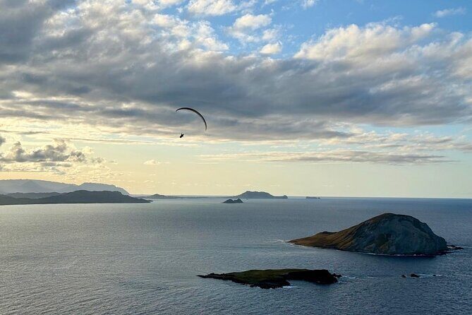 Makapu'u Point Lighthouse Guided Hike - An In-Depth Look at the Makapuu Point Lighthouse Guided Hike