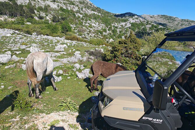 Makarska: Baggy Skywalk & Biokovo viewpoint Tour - Picnic and Return