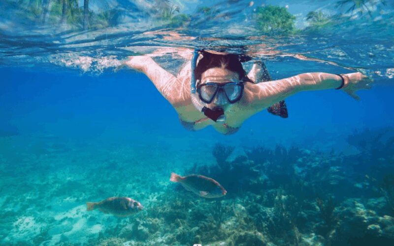 Makarska: Sea kayaking & snorkeling adventure - MPL Nautika - The Value of This Tour