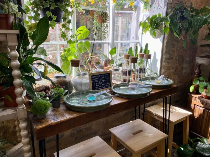 Make Your Own Terrarium in a houseplant paradise - A Deep Dive into the Terrarium Experience